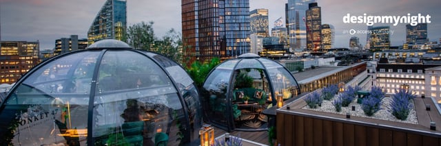 Design My Night Profile, Reviews & Listing Guide